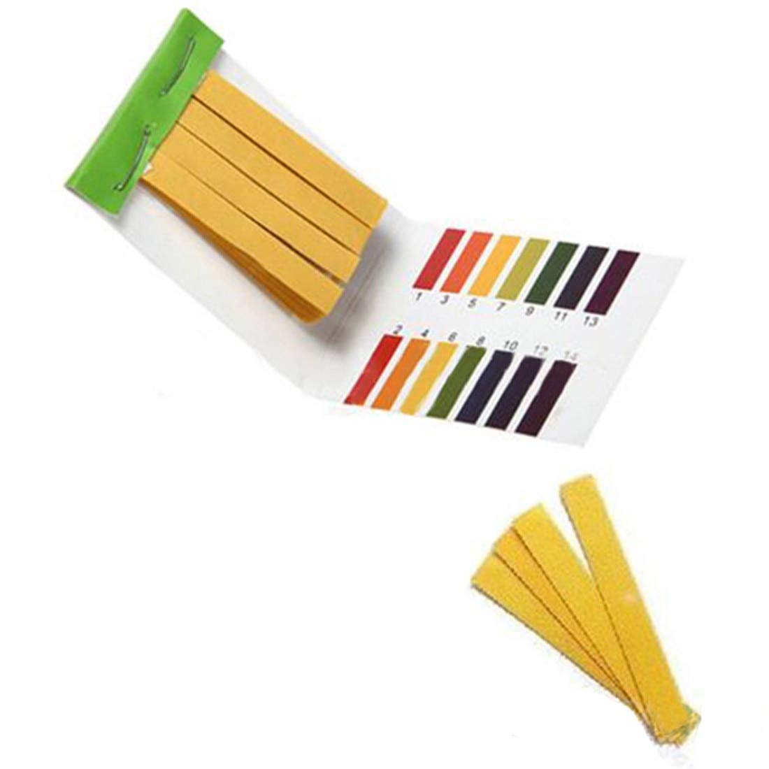 Buy 1 Set of PH Litmus Paper Lightweight 80 Strips PH Test Strip ...