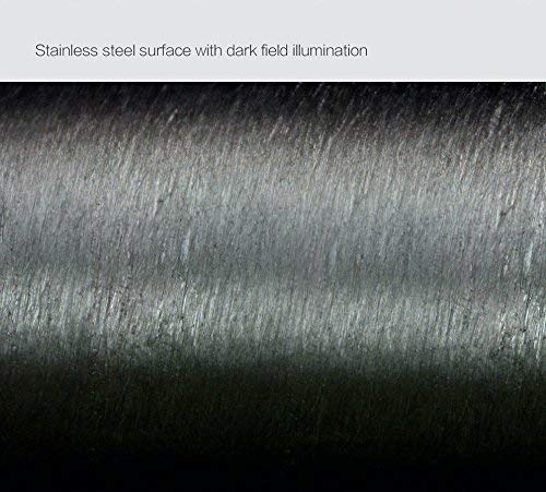 The 30 Best Radiology Illuminators of 2025 [Verified] - Cherry Picks