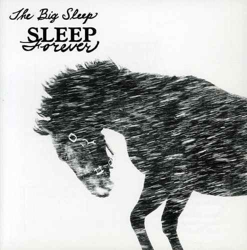 Amazon.com: Sleep Forever