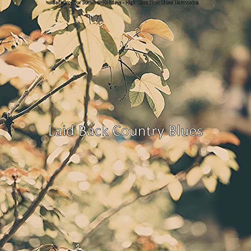 Backdrop for Summer Holidays - High Class Slow Blues Harmonica de Laid ...
