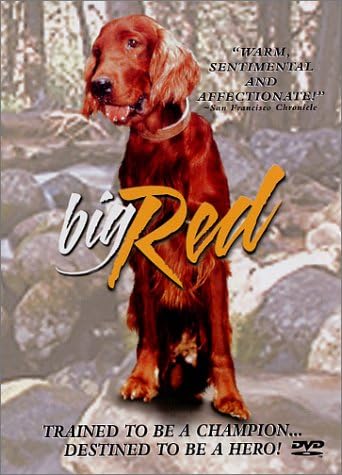 Big Red [DVD] [1962] [Region 1] [US Import] [NTSC]: Amazon.co.uk