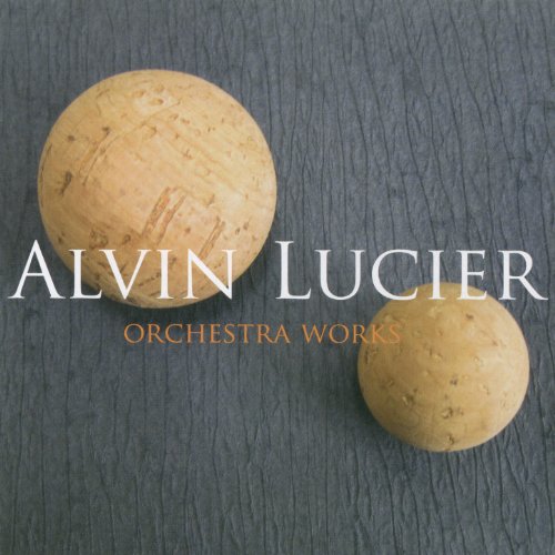 Amazon.com: Alvin Lucier: Orchestral Works : Janáček Philharmonic ...