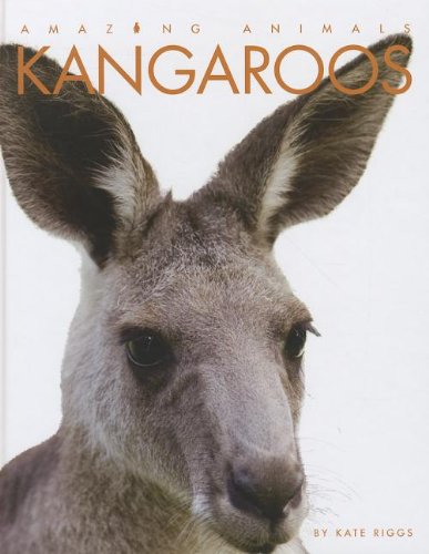 Kangaroos (Amazing Animals): Riggs, Kate: 9781608181087: Amazon.com: Books
