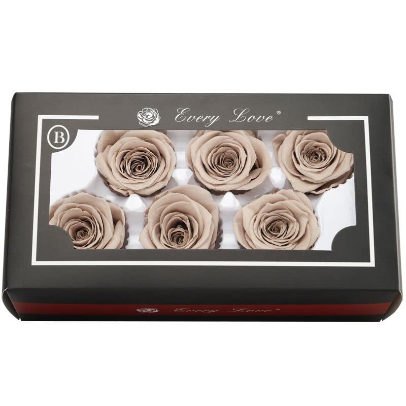 Amazon.com: Preserved Rose Heads 6 Pcs - Light Brown Kahki | Dried ...