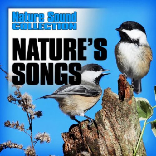 Play Nature's Songs (Nature Sounds) by Nature Sound Collection on ...