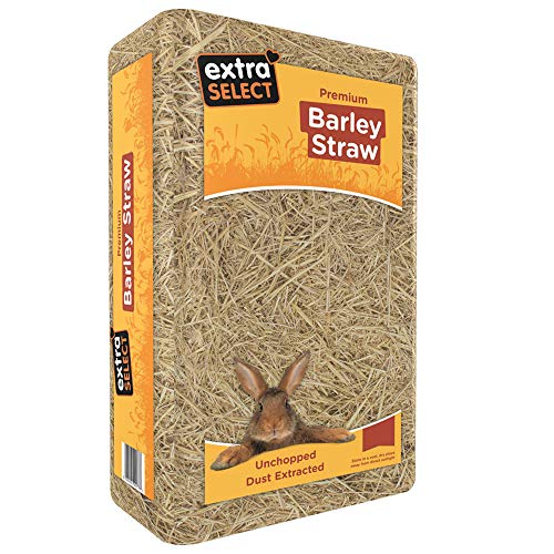 Amazon.co.uk Best Sellers: The most popular items in Bedding ...