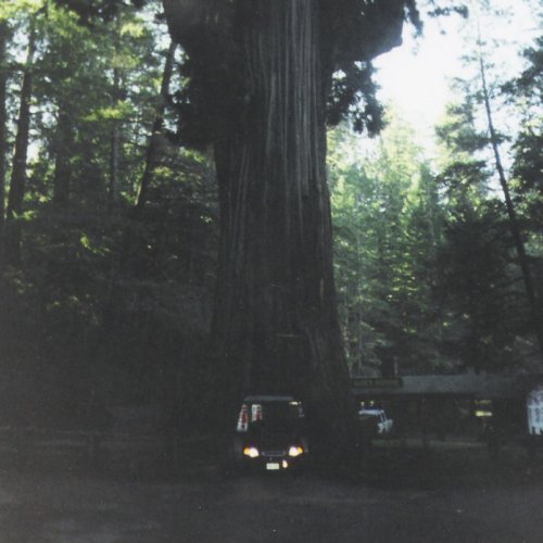 Amazon.com: Appletree : Jonny Debt: Digital Music