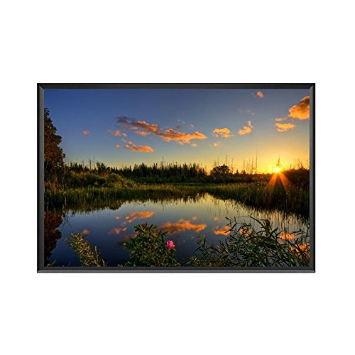 Nature UV Textured Wall Poster - with Frame, 18 inch x 12 inch, Poster ...