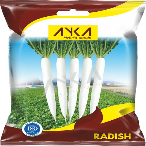 EXCEL OVERSEAS Radish Seeds Farm Fresh and Nutrient-Packed Vegetable ...