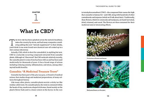 Reader's Digest The Essential Guide to CBD: Everything You Need to Know ...