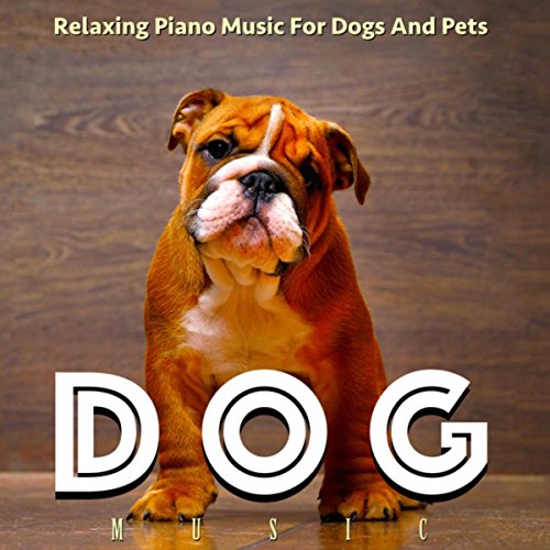 Play Dog Music: Relaxing Piano Music for Dogs and Pets by Dog Music on ...