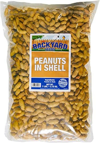 Amazon.com: Raw Peanuts in The Shell - Non GMO Bulk Nuts for Blue Jays ...