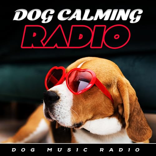 Dog Calming Radio : Dog Music Radio: Amazon.fr: Digital Music