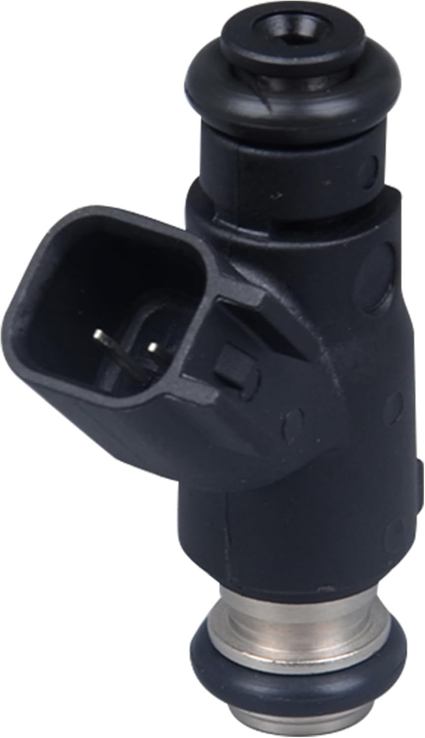 Amazon.com: AdvanEX Fuel Injector 2 Holes Compatible with Hisun EFI 500 ...