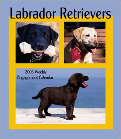 Buy 2003 (Labrador Retrievers Slimline Calendar) Book Online at Low ...