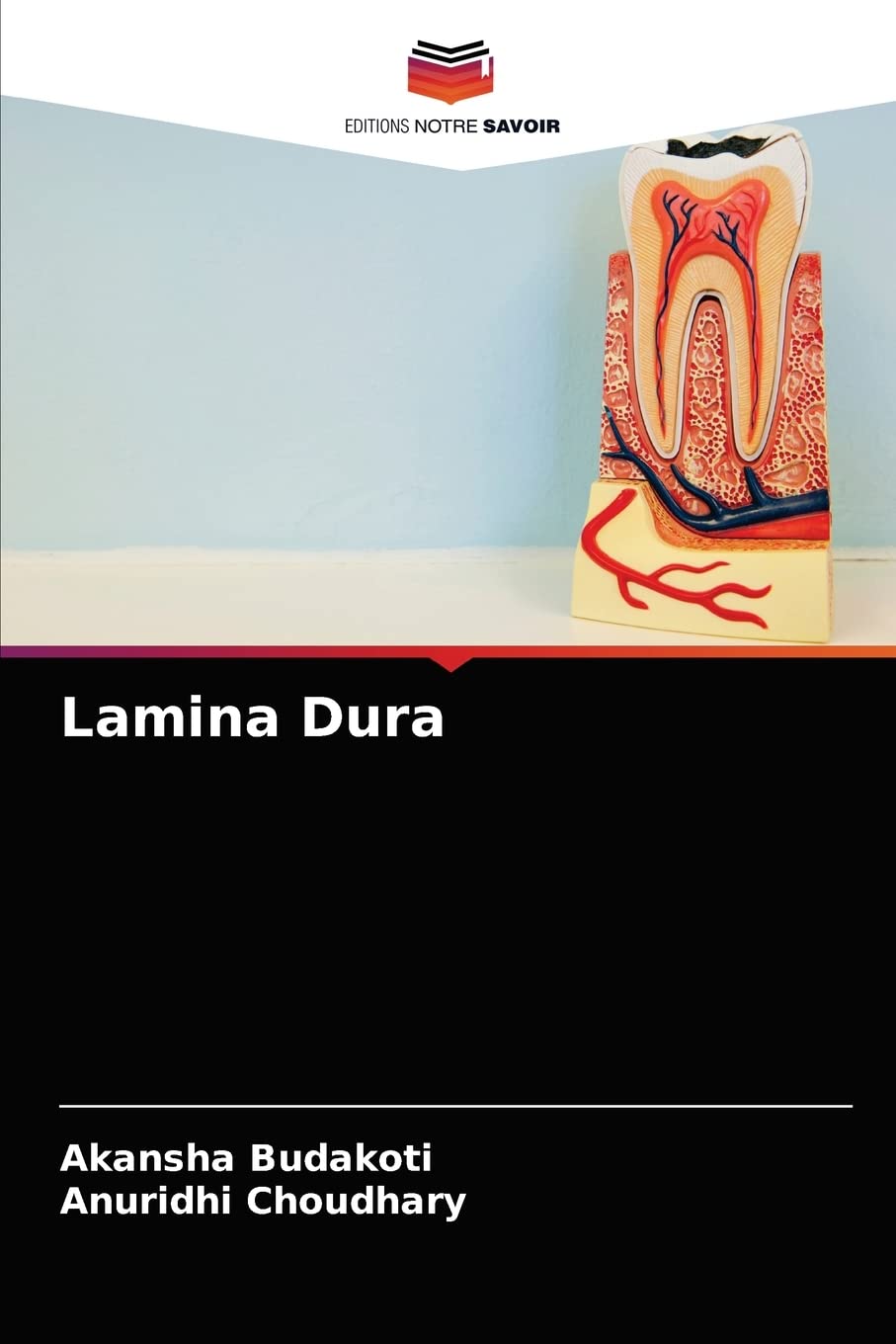 Lamina Dura The Lore And The Lure O' The Lamina Dura