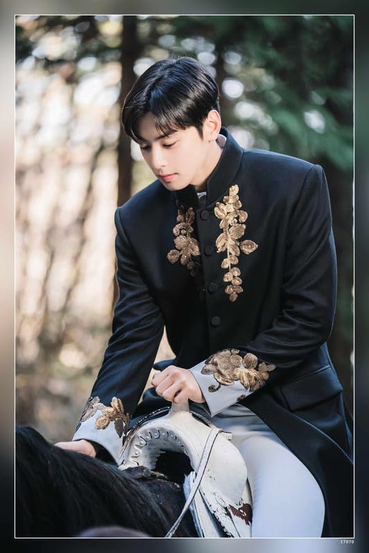 POSTERDADDY Cha Eunwoo Poster Reprint Matte Finish Paper Unframed 12 x18 Inch (Multicolor ...