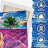 Amazon.com: FIXSMITH Stretched Canvas for Painting, 4"x4", 6"x6", 8"x8 ...