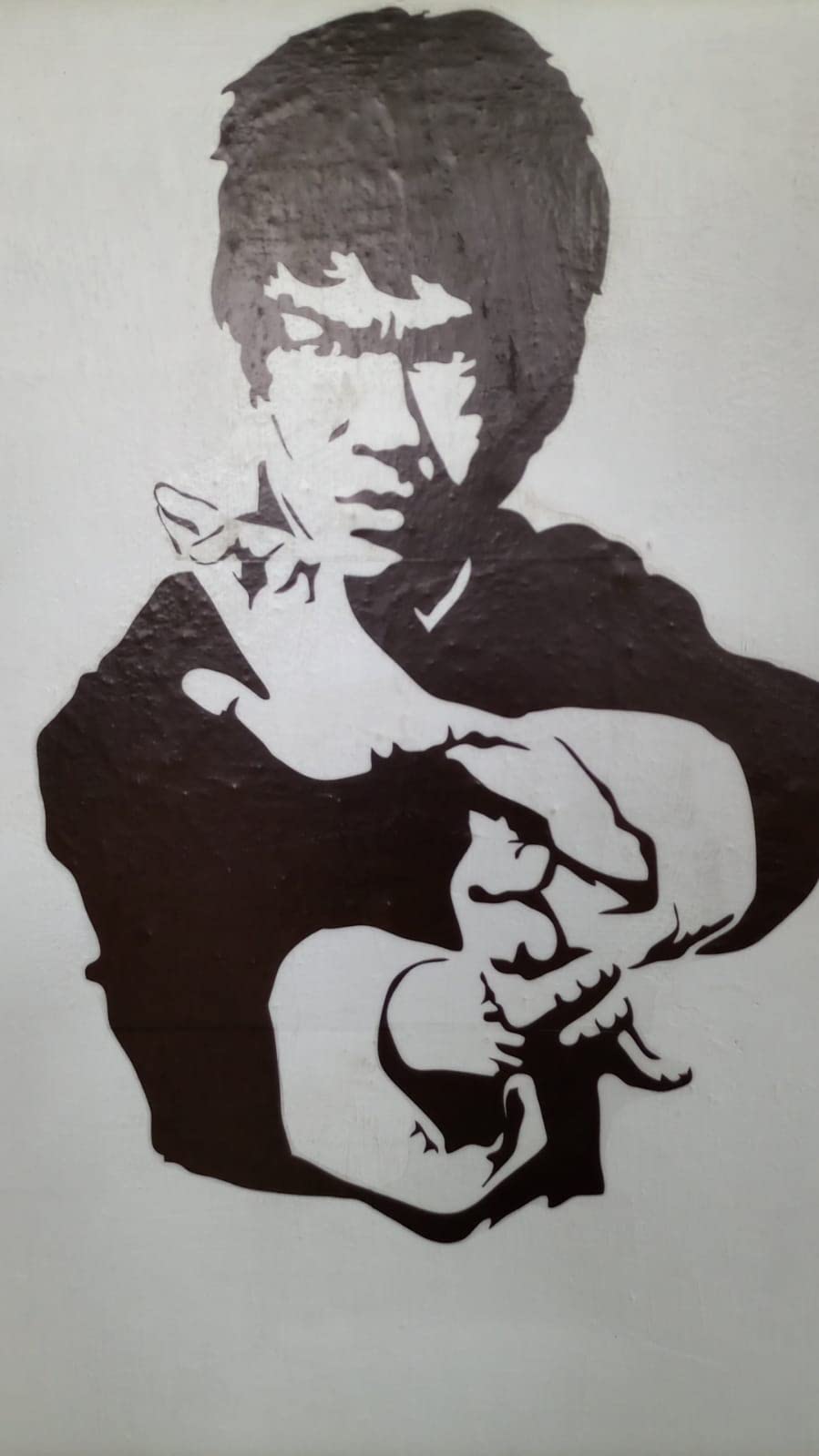 StickMe 'Bruce Lee Wall Sticker ' -SM288 (Multi Colour, Vinyl - 60cm X ...