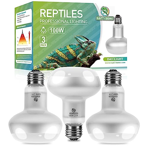 Shining a Light on the Top 10 Reptile Lights from Petco: A ...