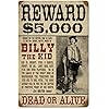 Amazon.com: Losea Billy The Kid Metal Tin Sign Wall Art Decor for ...