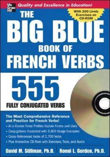 Amazon.com: The Big Blue Book of French Verbs (Book w/CD-ROM ...
