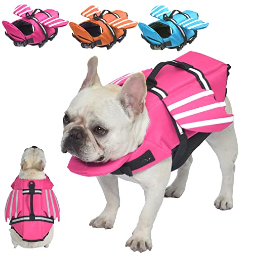 Find The Best French Bulldog Life Jacket Reviews & Comparison - Katynel