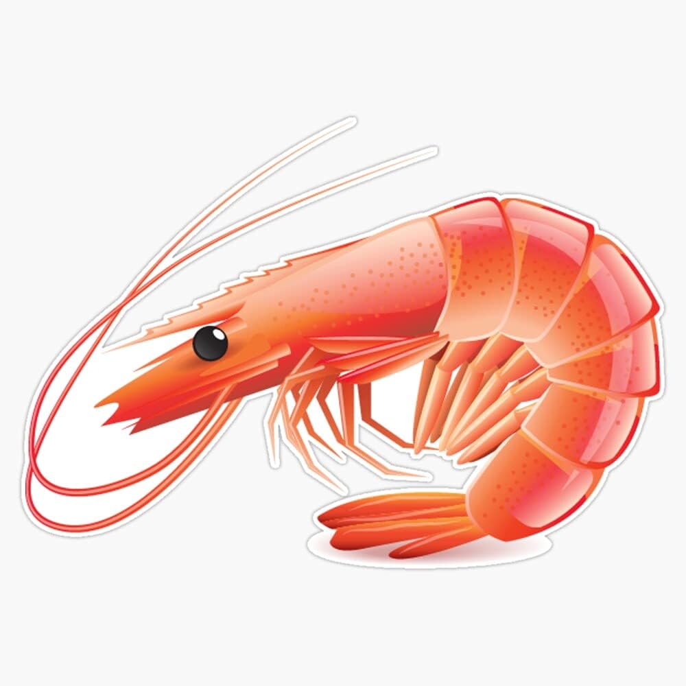 Amazon.com - Shrimp Sticker Vinyl Waterproof Sticker Decal Car Laptop ...