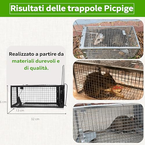 Le 6 Migliori Trappole per topi - Le Ultra efficaci che funzionano ...