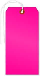 Amazon.com: SmartSign Fluorescent Pink Blank Tags with Pre-Attached ...