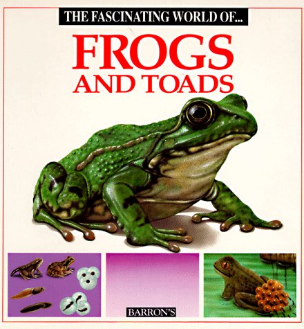 The Fascinating World of Frogs and Toads: Julivert, Angels, Marcel ...