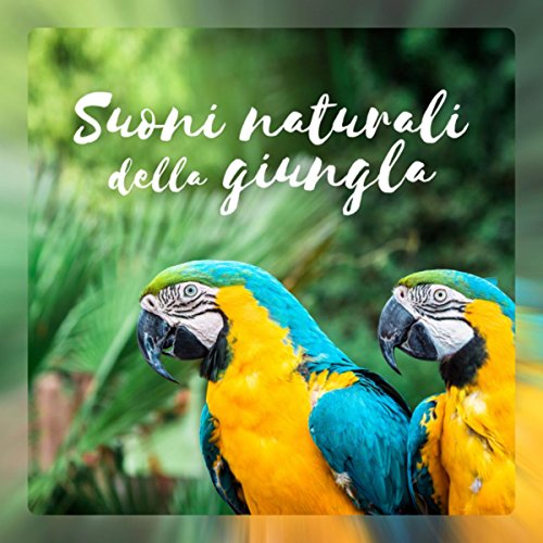 Amazon.com: Suoni naturali della giungla (Bellissimi uccelli esotici ...