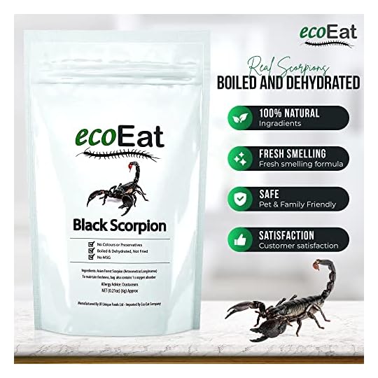 ecoEat Edible Asian Forest Black Scorpion – Edible Bugs Edible ...