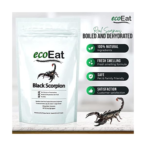 ecoEat Edible Asian Forest Black Scorpion – Edible Bugs Edible ...