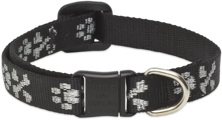 Amazon.com : LupinePet Basics 1/2" Pink Cat Safety Collar , 8-12" : Pet ...