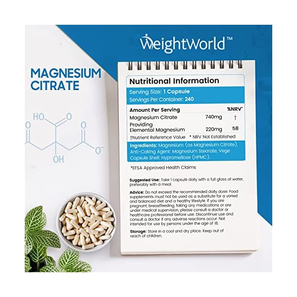 Magnesium Supplements As Per NRV - 8 Month Supply(240 Vegan Capsules ...