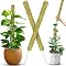 Amazon.com : DUSPRO D-Shaped Plastic Moss Poles for Climbing Plants ...