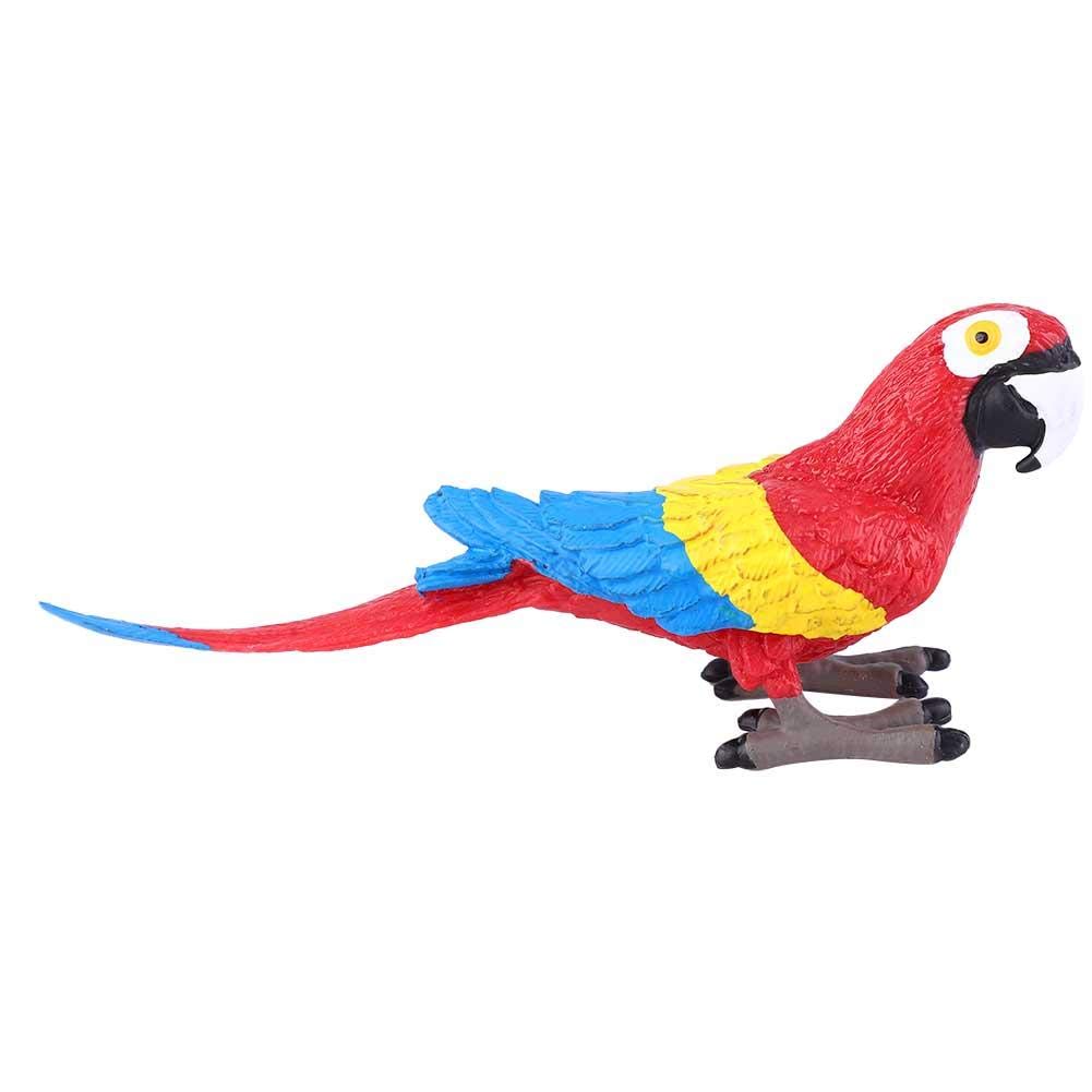 Baby Scarlet Macaw