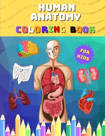 Amazon.com: Human Anatomy Coloring Book for Kids: My Amazing Body. Fun ...