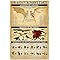 Amazon.com: Youpinnong Dragon Knowledge Metal Signs Anatomy Dragon Egg ...