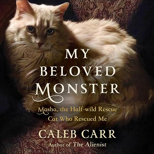 Amazon.com: My Beloved Monster: Masha, the Half-Wild Rescue Cat Who ...