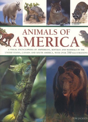 Animals of America: A Visual Encyclopedia of Amphibians, Reptiles and ...