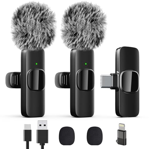 The 10 Best Professional Wireless Microphone Systems of 2025 ...