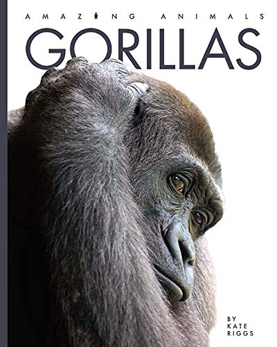 Gorillas (Amazing Animals) : Riggs, Kate: Amazon.in: Books