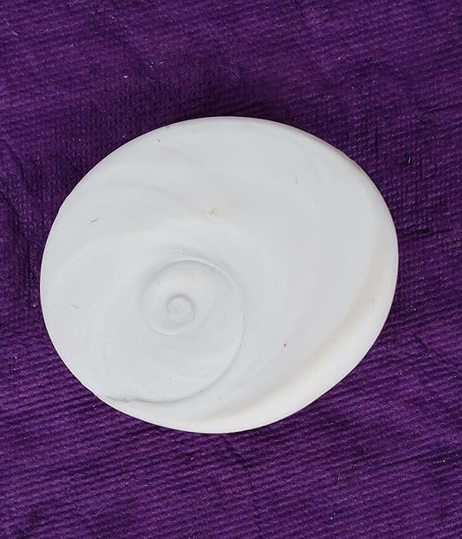 Raja Gomati Chakra 35 mm Big Size Original Natural Gomathi Chakram for ...