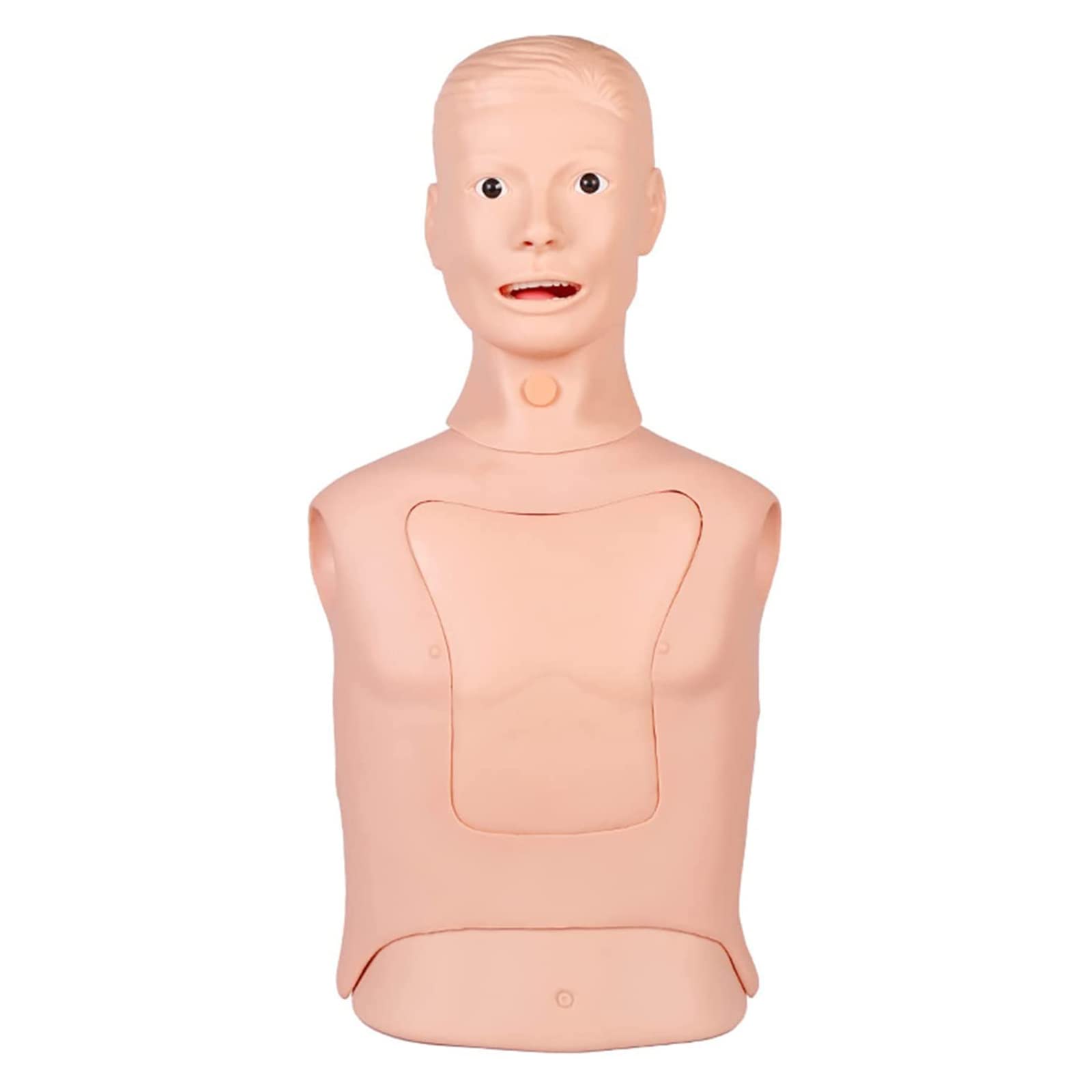 Buy MLSJM Human Body Model,Nasotric Tube and The Trachea Nursing Model ...