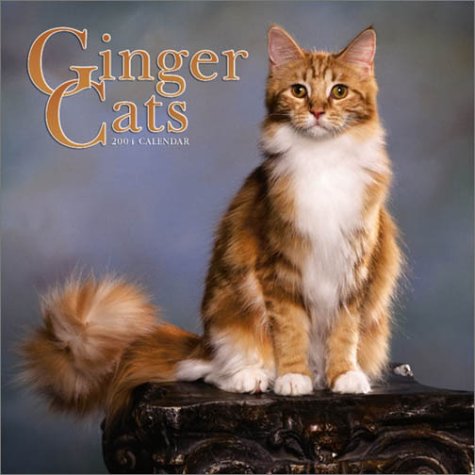 Buy 2004 (Ginger Cats Wall Calendar) Book Online at Low Prices in India ...