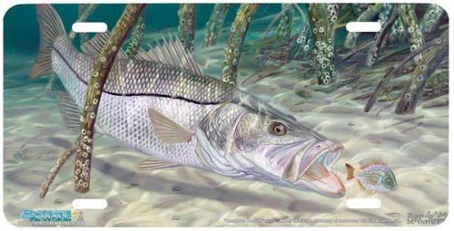 Airstrike Mangrove Monster - Snook Fish Art Print - License Plate by ...