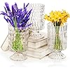Amazon.com: Goaste 3 Pack Embossed Big Base Vase, 7" Crystal Glass Vase ...