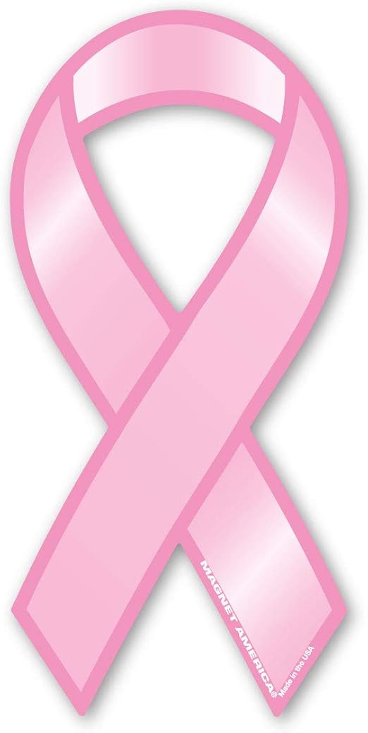 Amazon.com: Magnet America Breast Cancer Plain Pink Ribbon Magnet is 8 ...